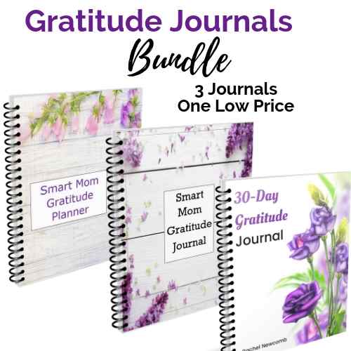 Gratitude Journal Bundle – Smart Mom Life