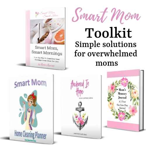 Smart Mom VIP Toolkit – Smart Mom Life